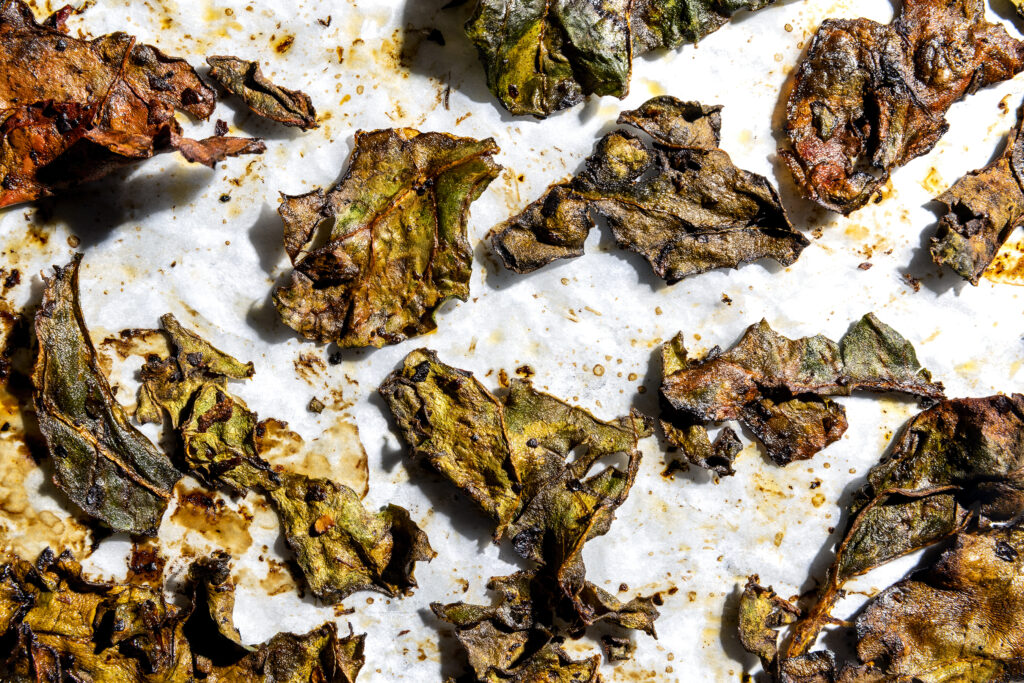 Swiss Chard Chips - Rancho La Puerta